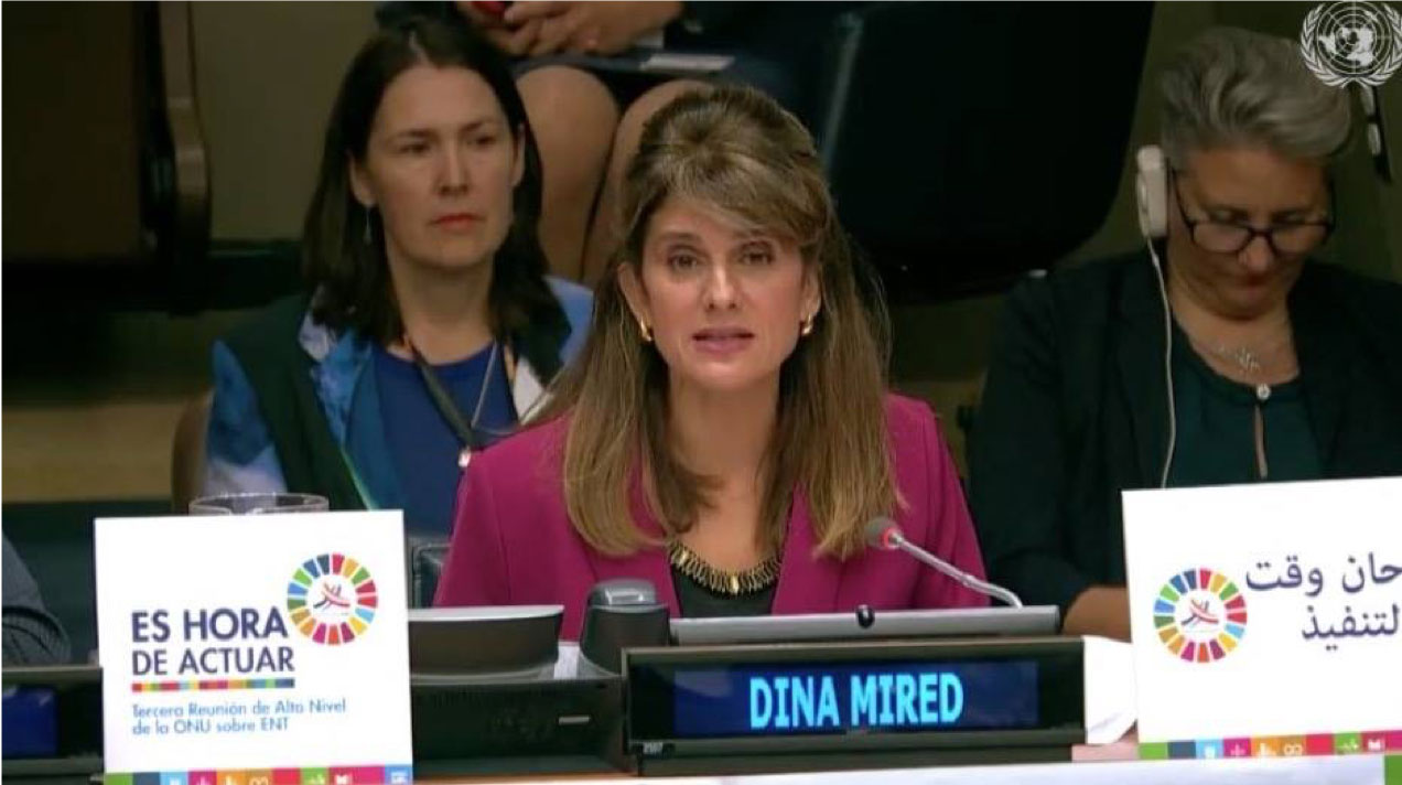 HRH PRINCESS DINA MIRED - Hospital Magazine - Leading Healthcare ...